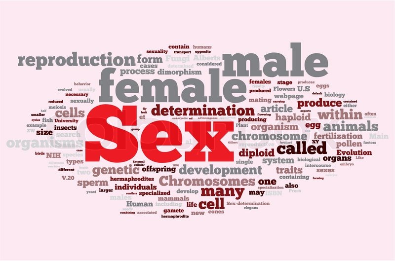 Sex Counselling Interactive